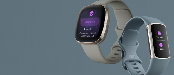 The Fitbit stress score explains how to measure and manage stress ...