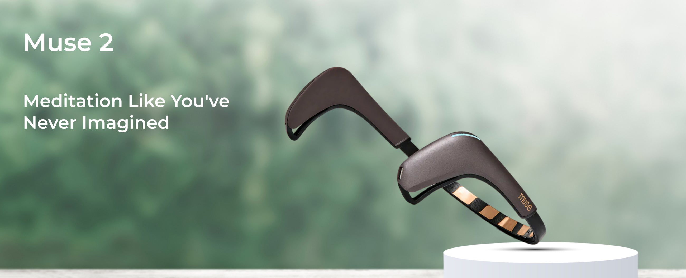 Seize the Moment: Transform Your Life with Smart Wearables - Wearables